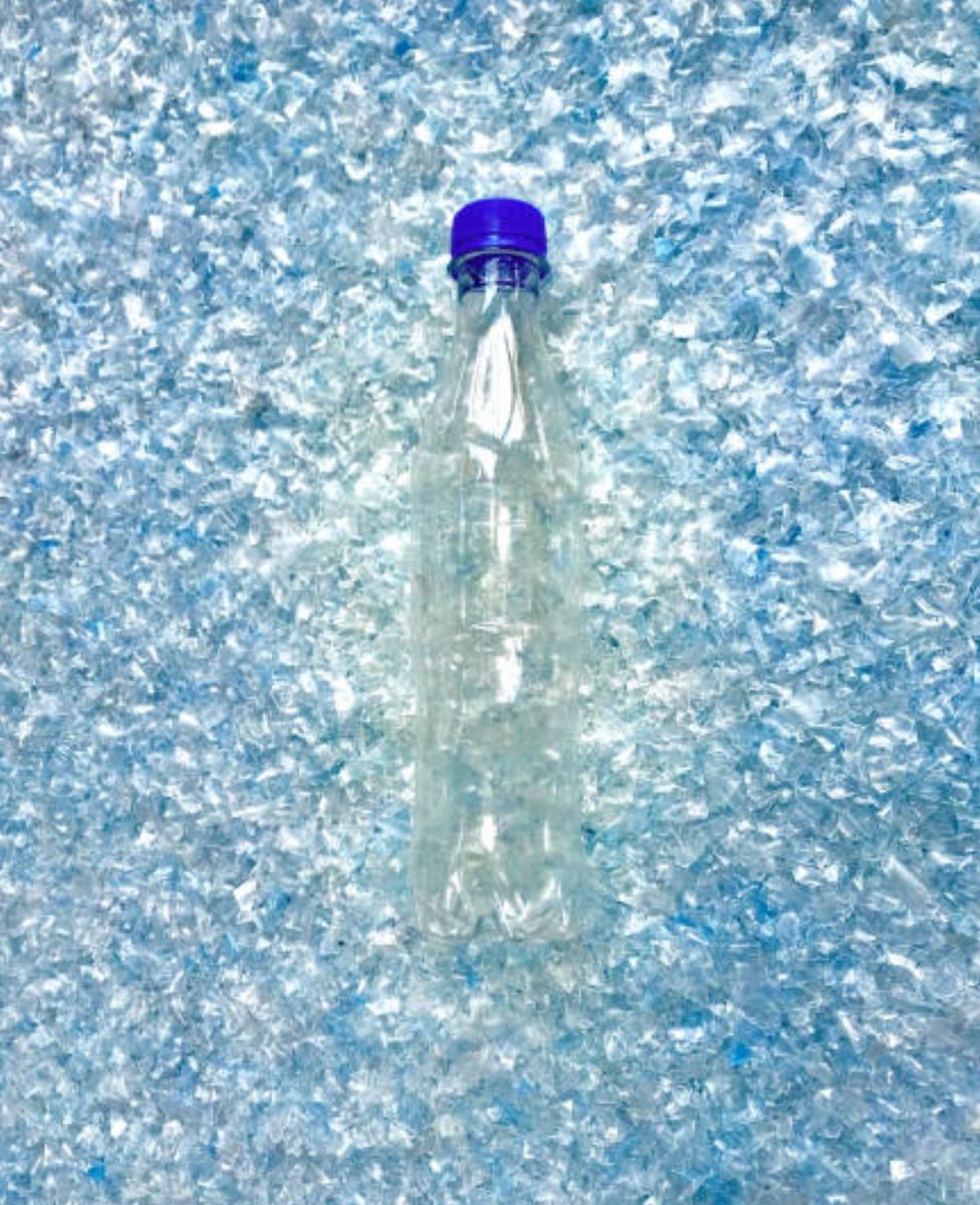 PET Flakes Prices in India Today: Here's What You Need to Know!