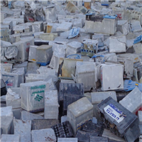 Supplying 50 MT Shredded and Cleaned PP Scrap (Batteries & Plastic Boxes)