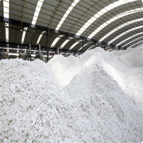 "Paper Pulp in SBS Format" Available for Sale